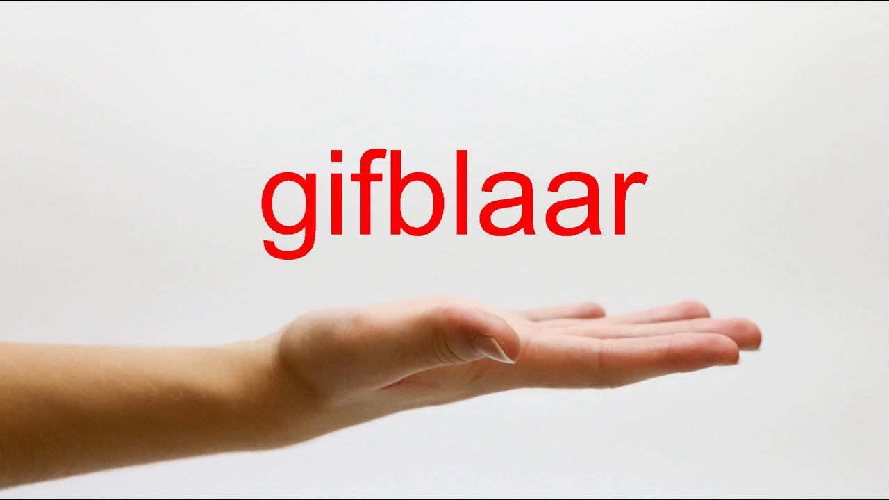 How to Pronounce gifblaar - American English - YouTube