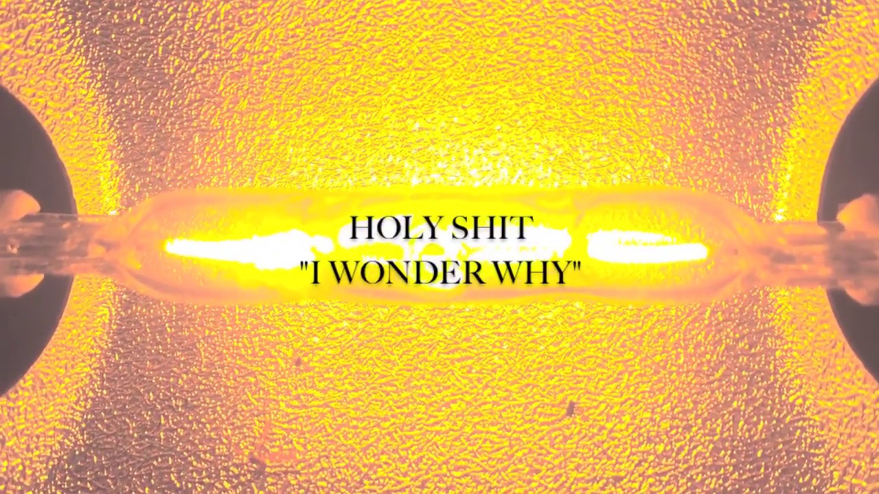 HOLY SHIT // MATT FISHBECK // I WONDER WHY // MUSIC VIDEO - YouTube