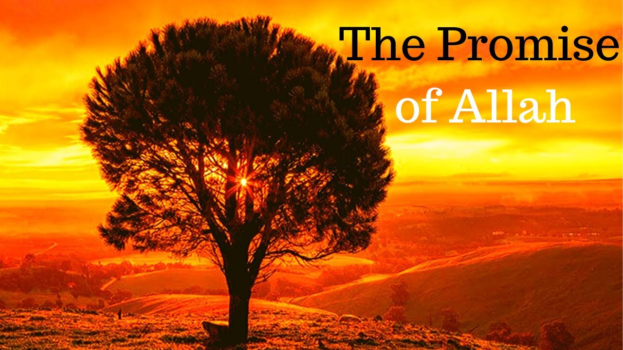 Allah's Promise to the Believers - YouTube