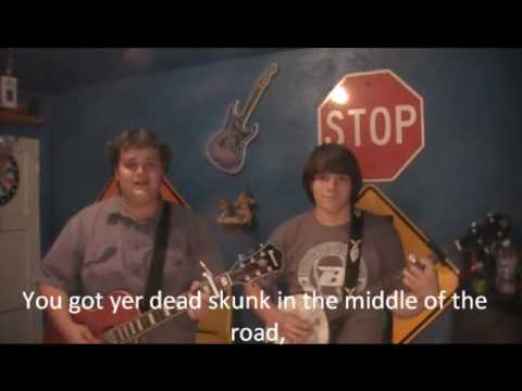 Dead skunk in the middle of the road, with lyrics cover. - YouTube