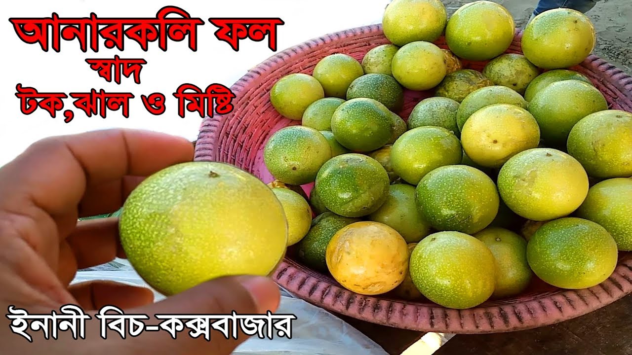টক,ঝাল মিষ্টির আনারকলি ফল। ইনানী সমুদ্র সৈকত কক্স বাজার। Anarkoli Fruit ...