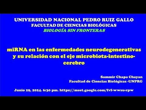 Biología sin Fronteras - Sammir Chapa - miRNA en enfermedades ...