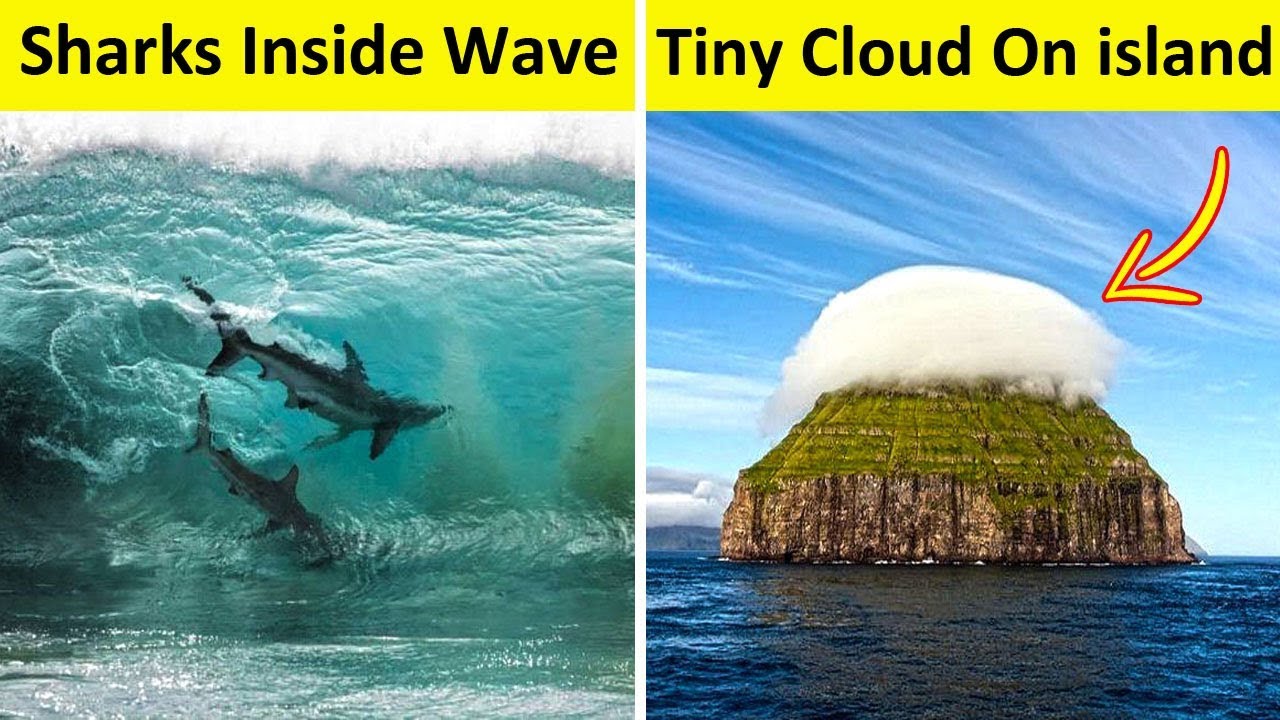 Nature Photos That Look Fake But Aren't - YouTube