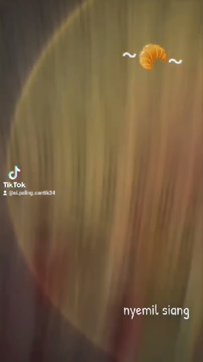 27 November 2024 - YouTube