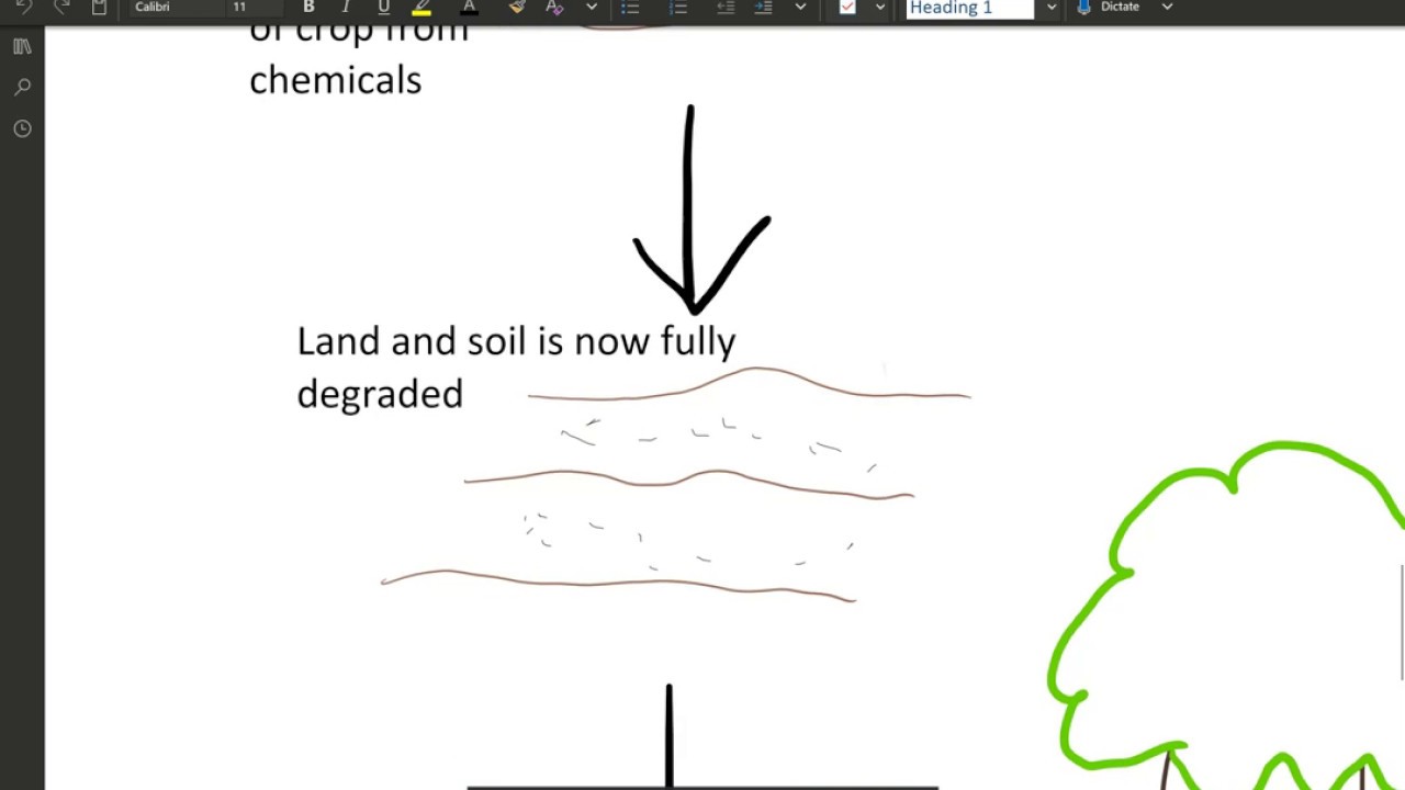 The Cycle of Over Farming - YouTube