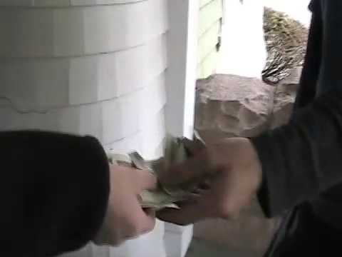 A Day at the Home of Kat Sigel