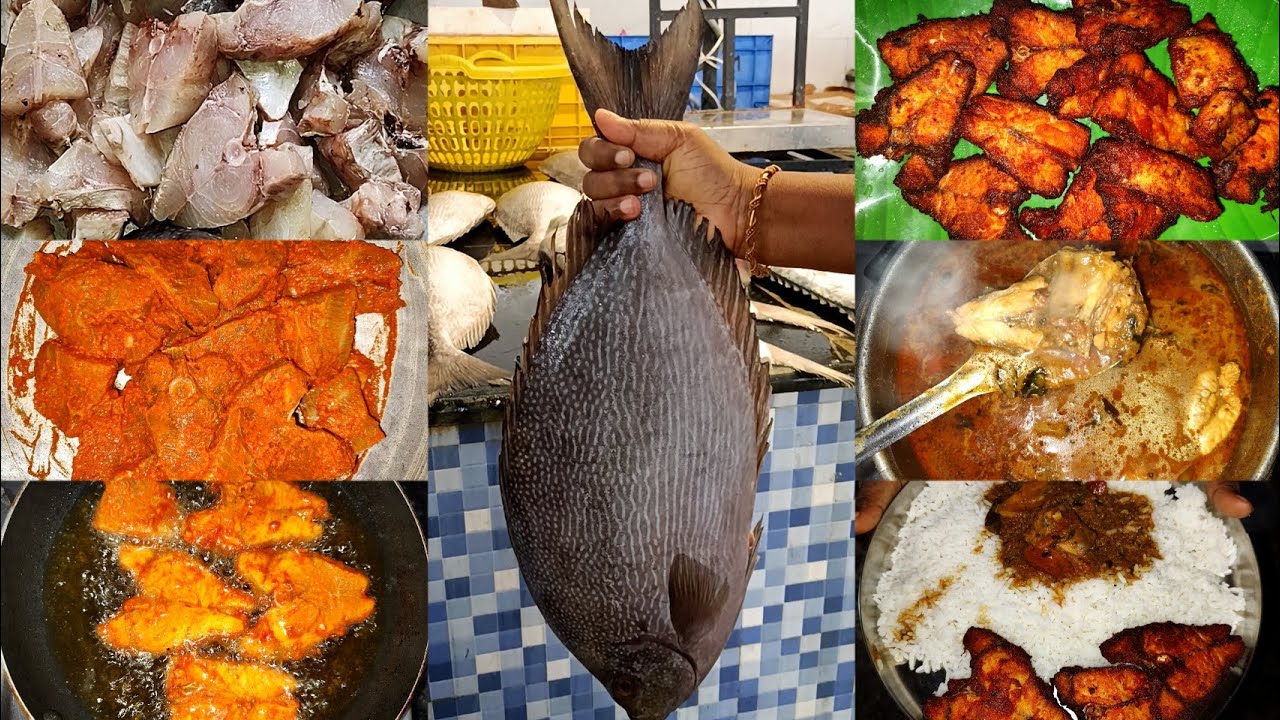 ஓரா மீன் குழம்பு மற்றும் வறுவல் | Rabbit Fish Curry an Fry Recipe Tamil ...