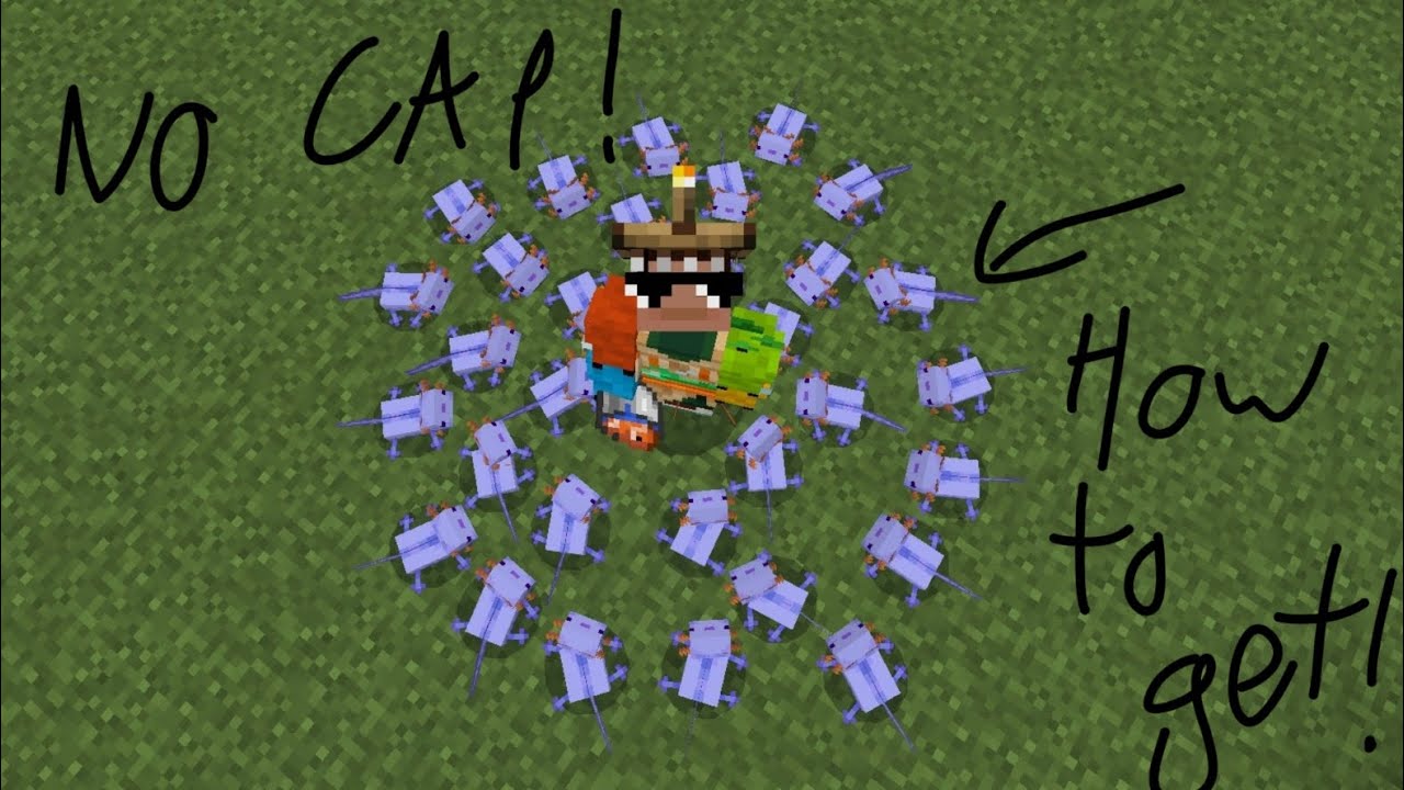 How to get the rare blue axolotl using commands in Minecraft Bedrock ...