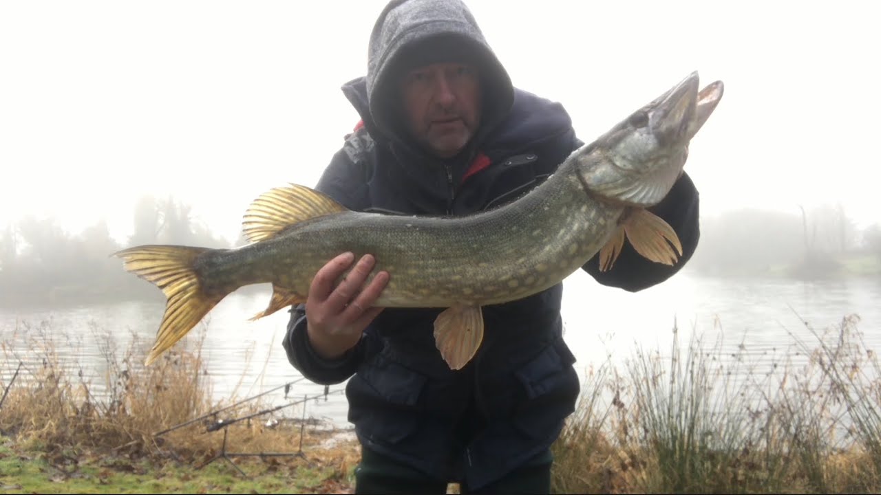 Winter pike fishing - YouTube