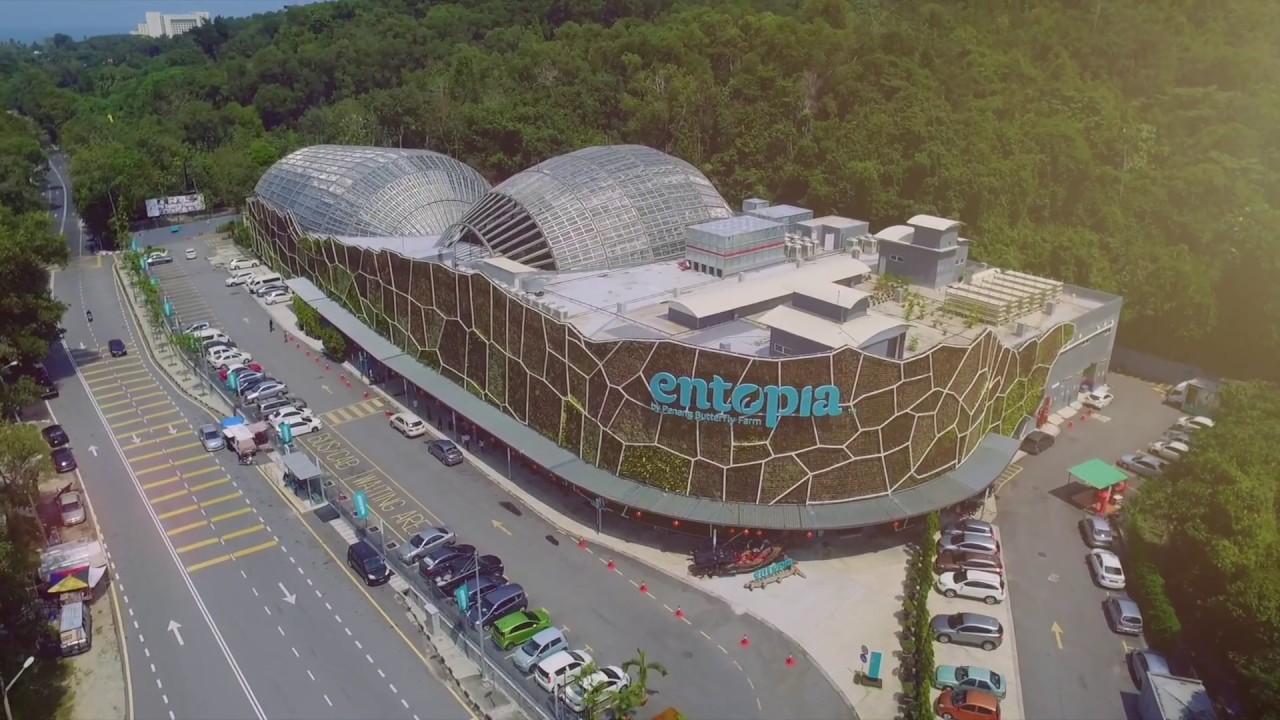 Inside Entopia Penang Butterfly Farm!!! - YouTube
