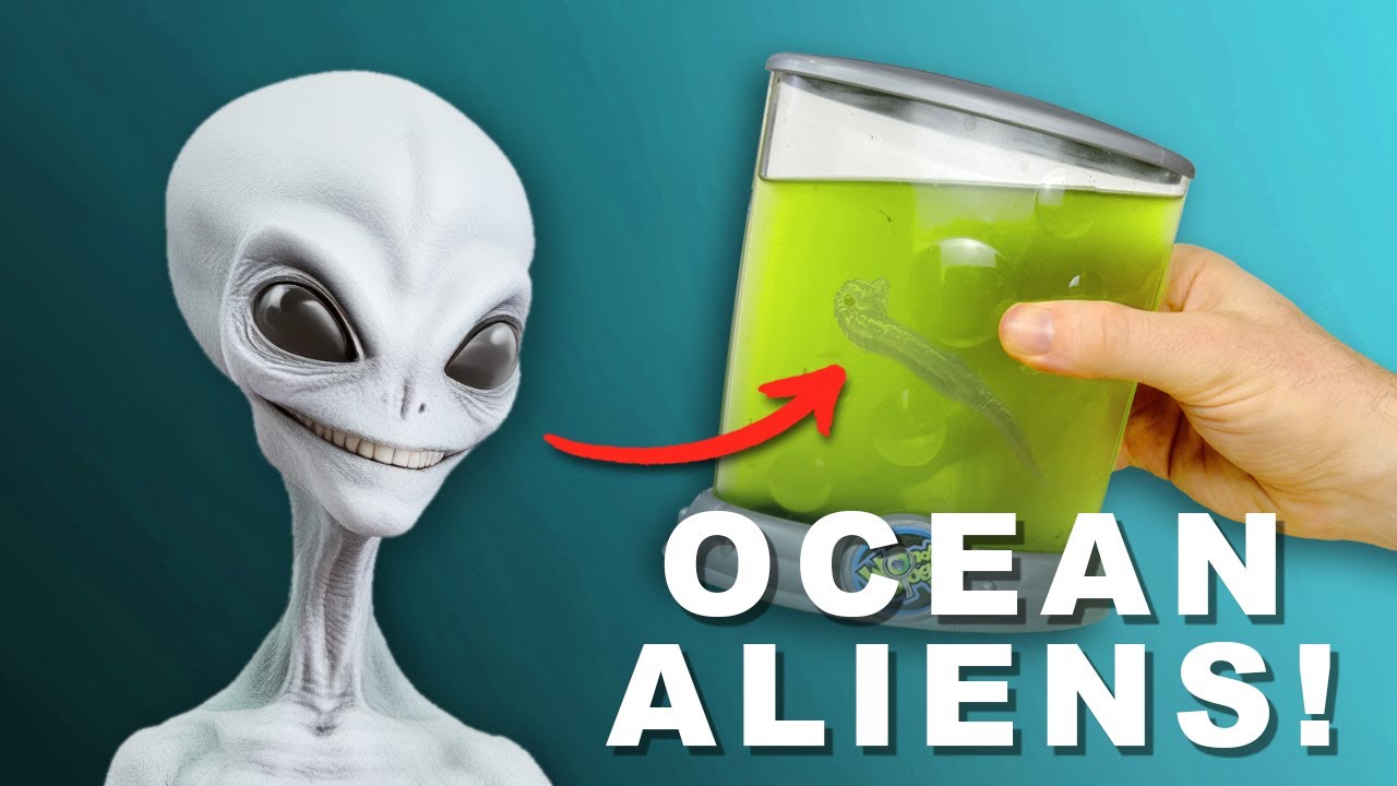 Amazing OCEAN ALIENS! | Unboxing & Review - YouTube