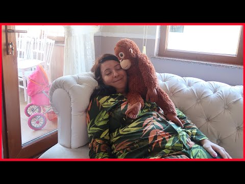 Özlem Abla Maymuş ile Uyuyakaldı