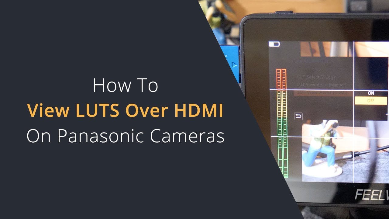 How To Show LUT Previews on Panasonic Lumix Cameras | Preview LUTs Over ...