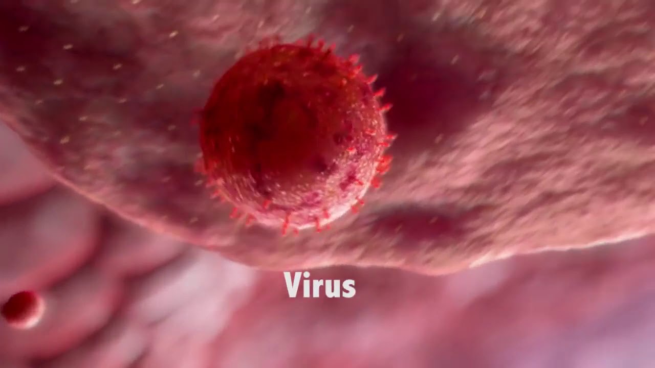 How active Corona virus inside body - YouTube