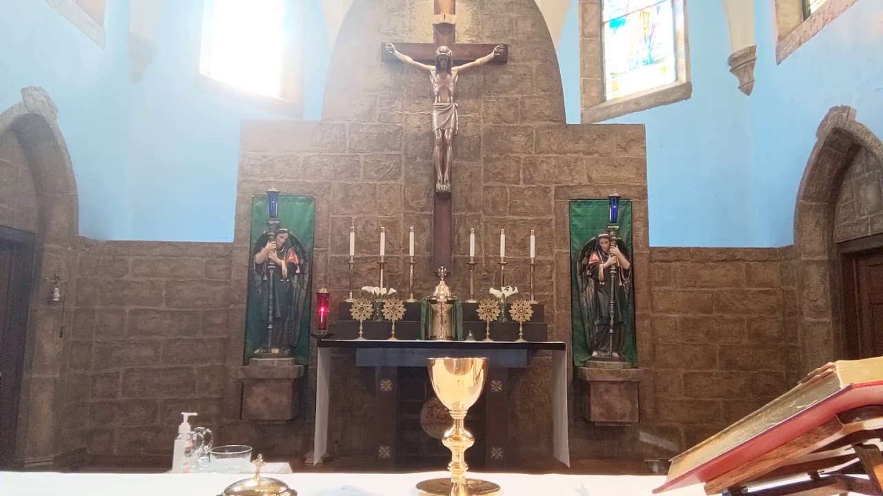 Mass for Thursday of the 14th Week of Ordinary Time (7-9-20) - YouTube