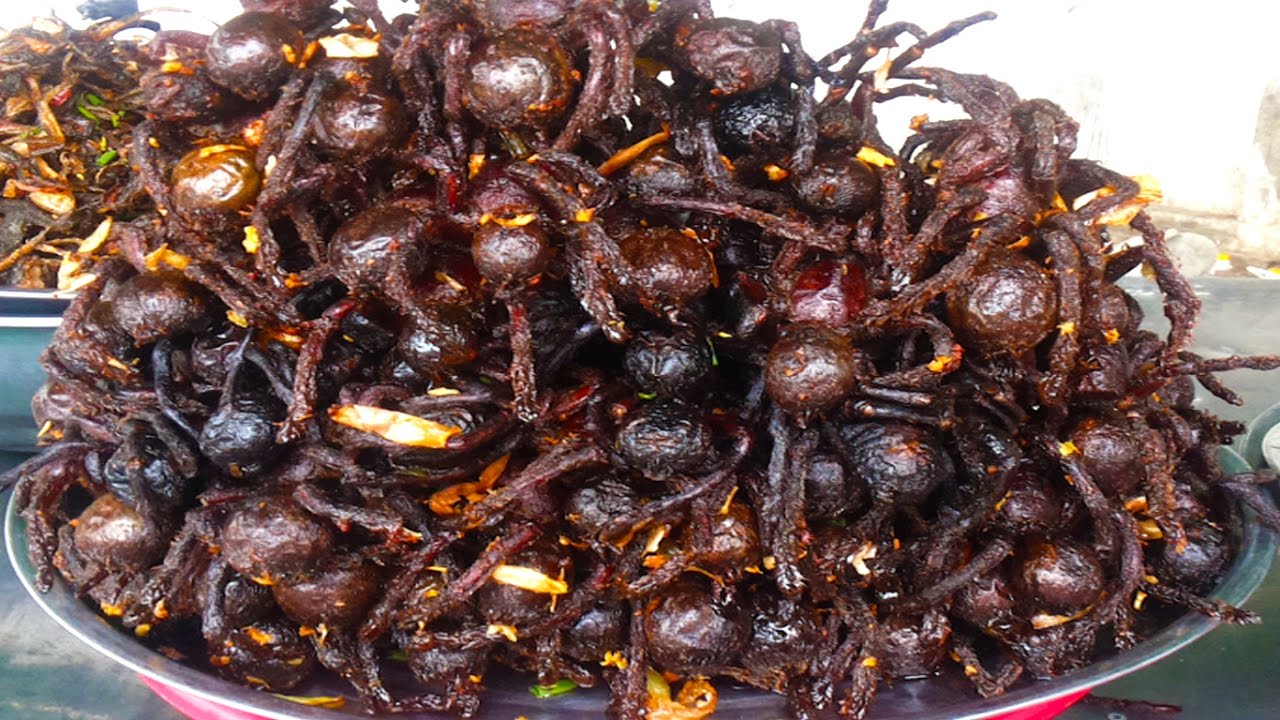 Wow! Boy Handling Spiders With Bare Hands - Food Insects In My Village - Cambodian Stree Fast ...