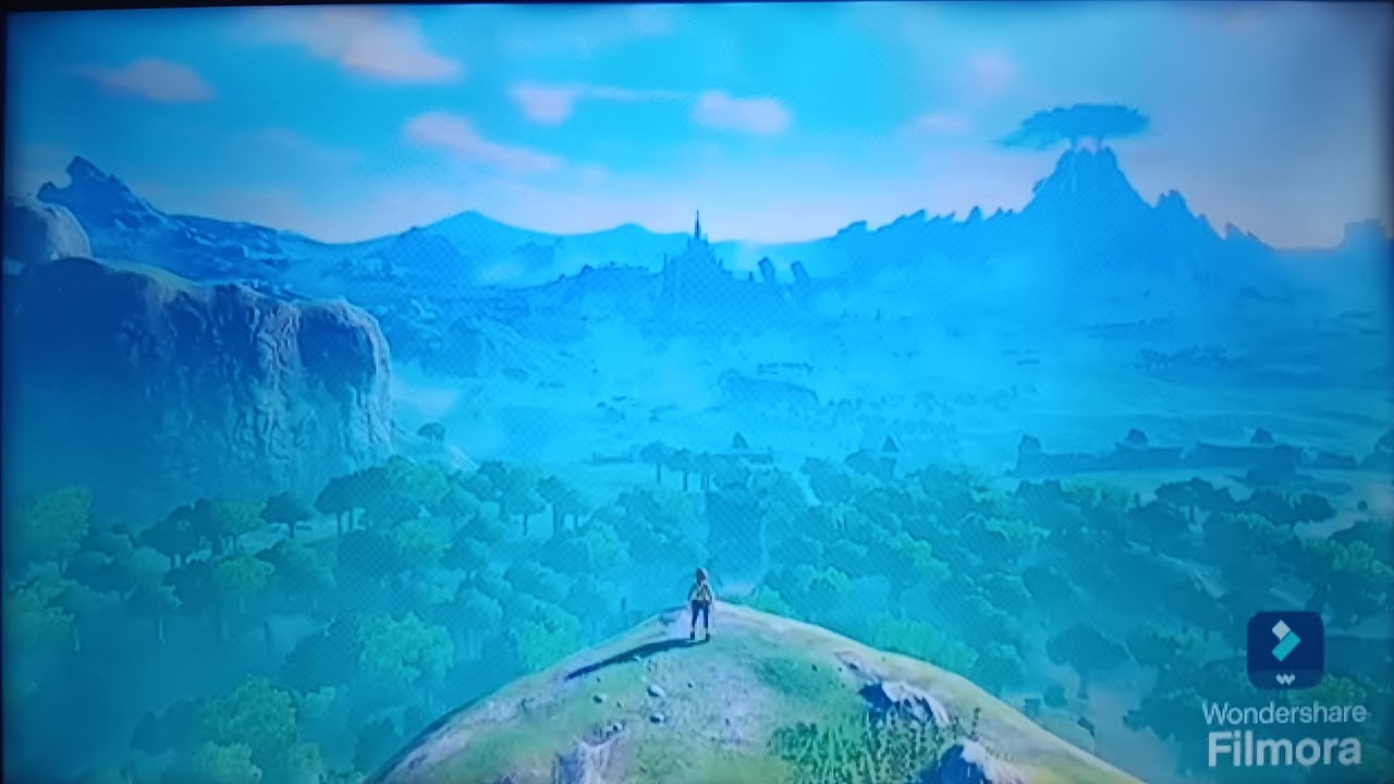 The Legend of Zelda : Breath of the Wild - 100% No Damage Walk-through ...