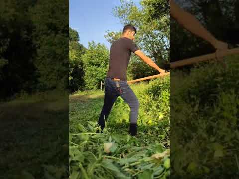 esebli idi ağacların dibin otların hamısın bicdi
