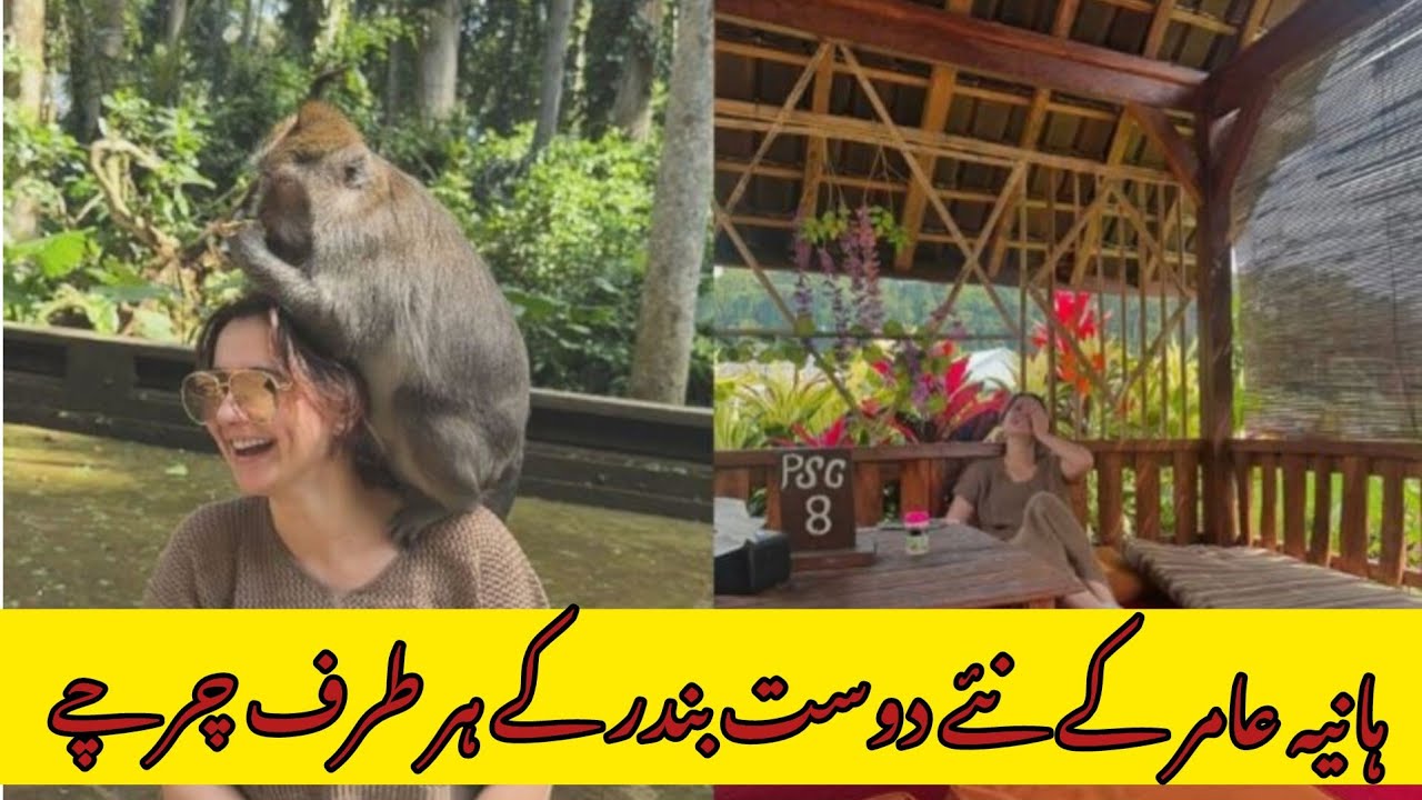 Hania Aamir befriends clever monkeys in new post from Bali 🥀🔥 - YouTube
