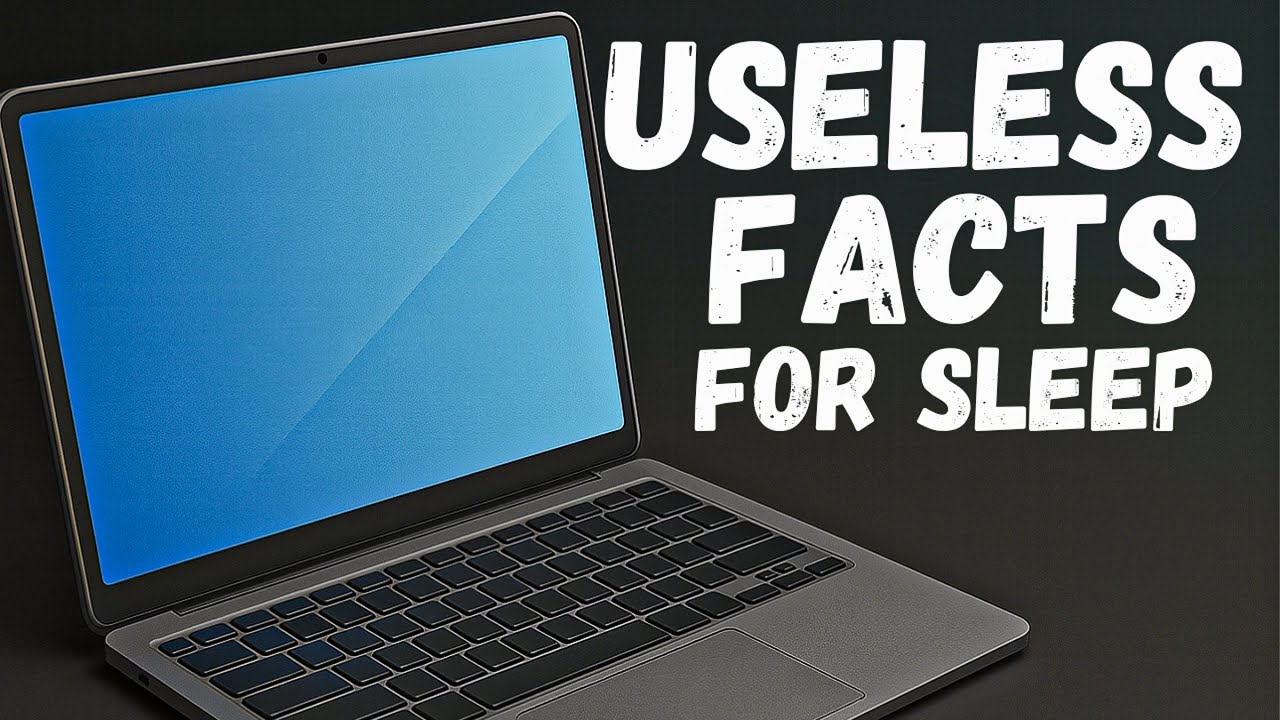 Useless Facts For Sleep | The Computer — The Smartest Object That Still ...