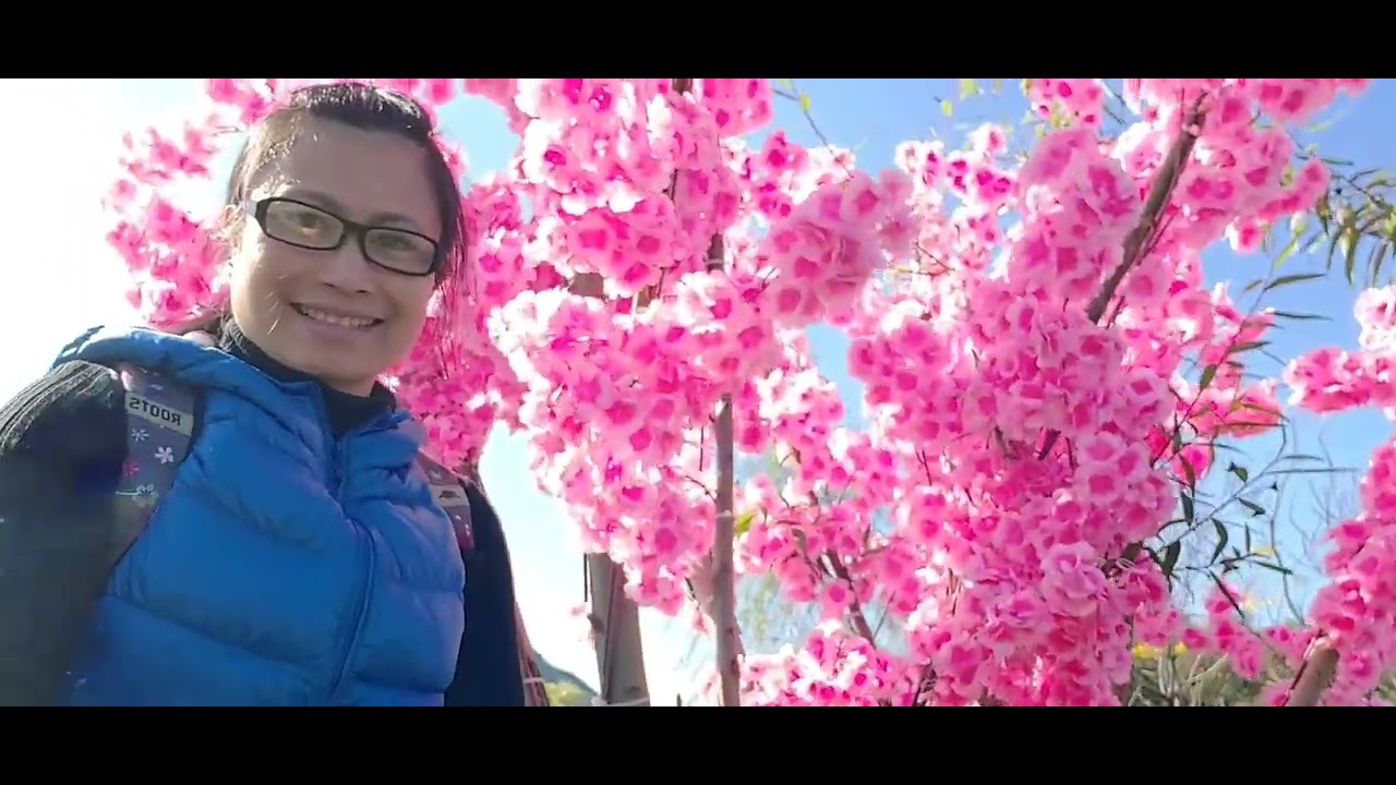 Shun Sum Yuen Farm in Santin Yuenlong hk. - YouTube