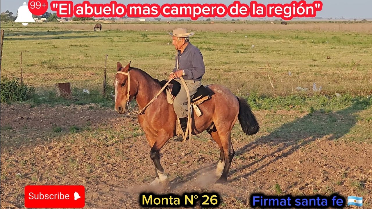Segundo dia de freno para el rabicano con el abuelo MONTA N° 26 🧏‍♂️🇦🇷🐴 ...