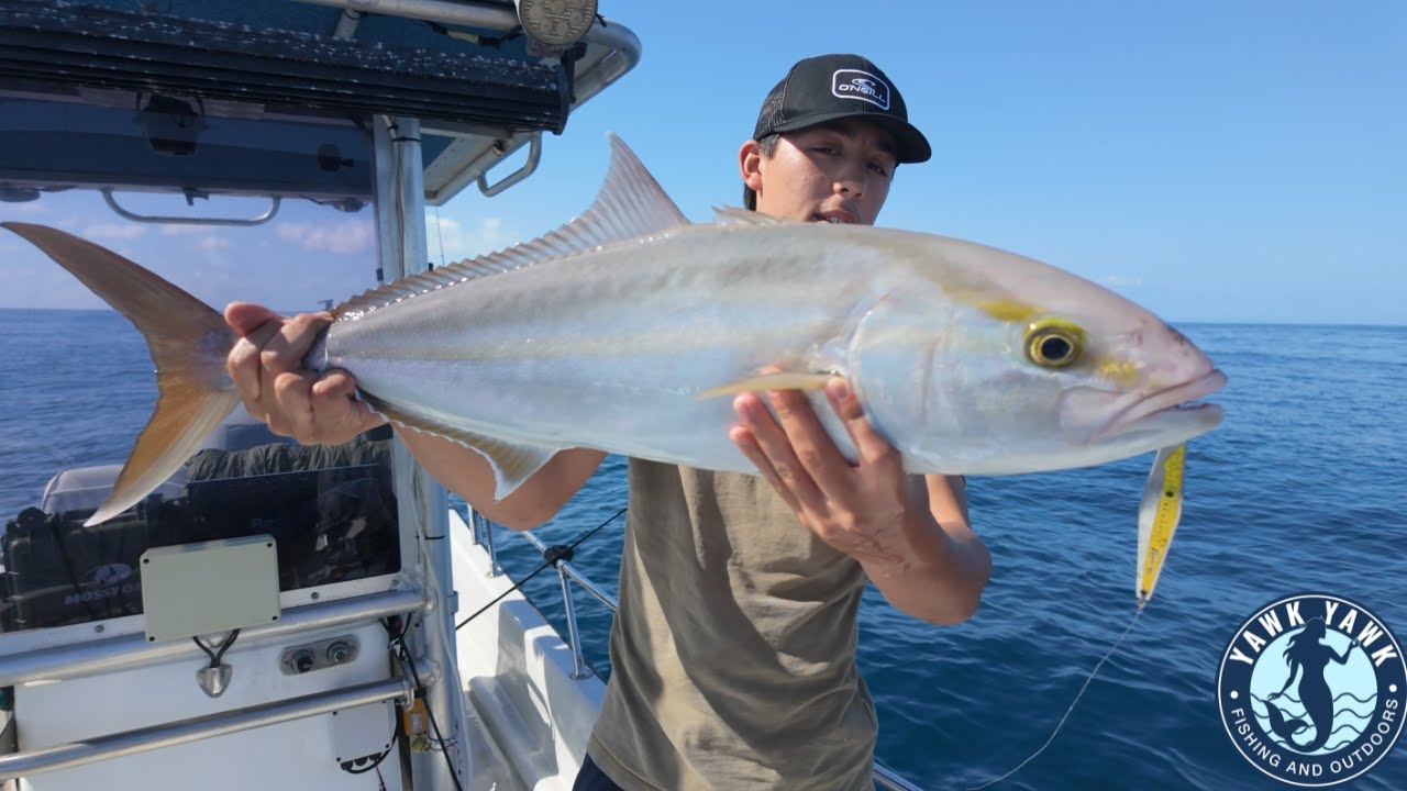 HIGH SPEED JIGGING and BAIT FISHING - Brisbane - YouTube