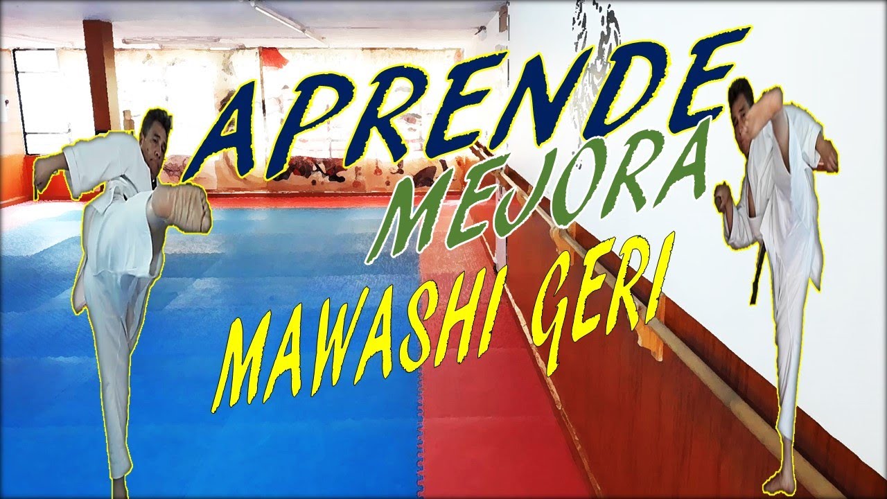APRENDE Y MEJORA TU MAWASHI GERI/KARATE DO -LEARN AND IMPROVE YOUR ...