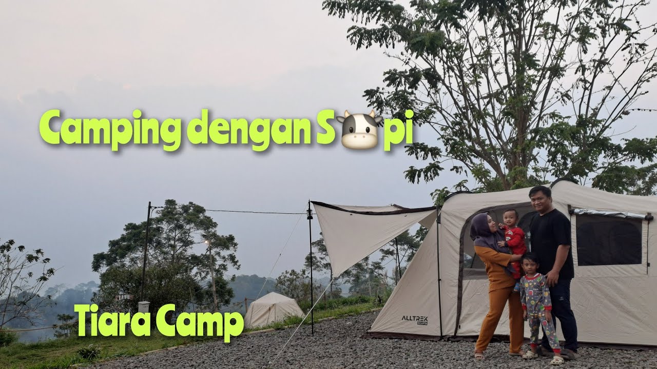TIARA CAMP || REKOMENDASI TEMPAT CAMPING BARENG ANAK DI PUNCAK ...