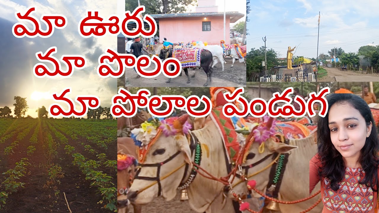 Polala panduga || In My village || My farm || Telugu vlogs || Polala ...