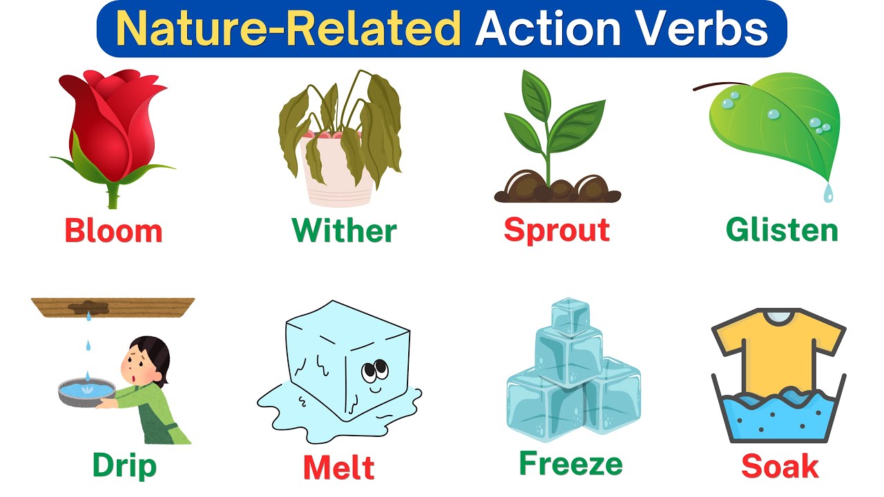 Learn Nature-Related Action Verbs With Examples | English Vocabulary ...