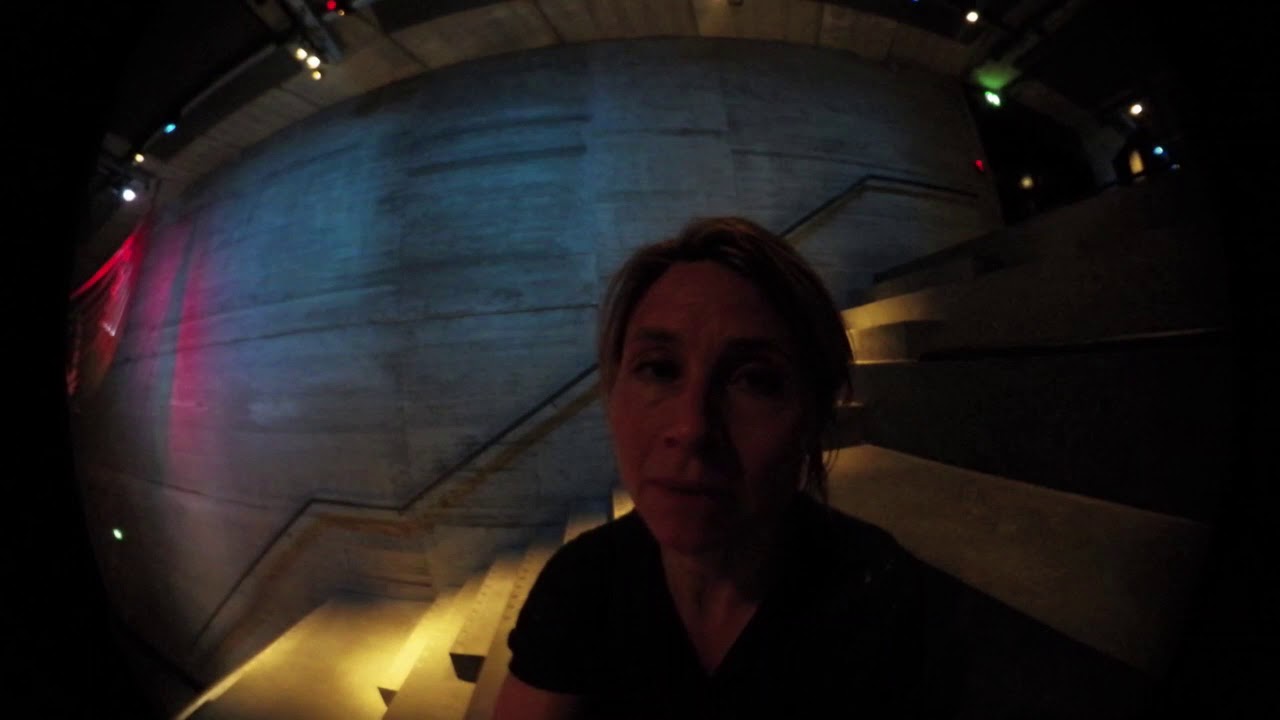 Delprojekt 12: Signe Lykke Littrup på Danmarks Borgcenter - YouTube