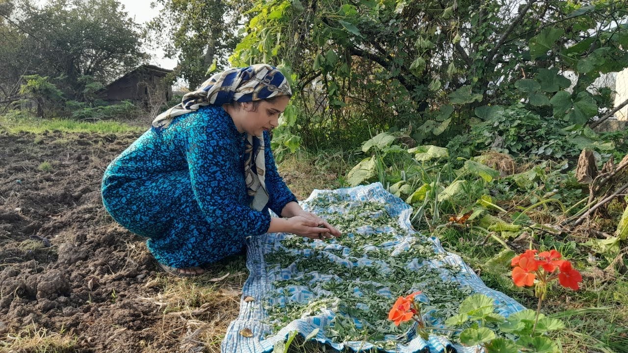 Village life in Iran/Planting vegetable seeds & Making walnut pancakes🥞 ...