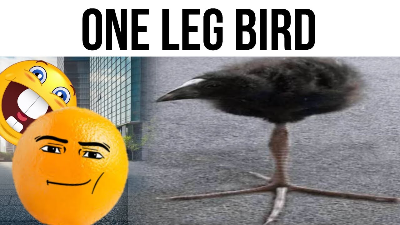 The One Leg Bird - YouTube