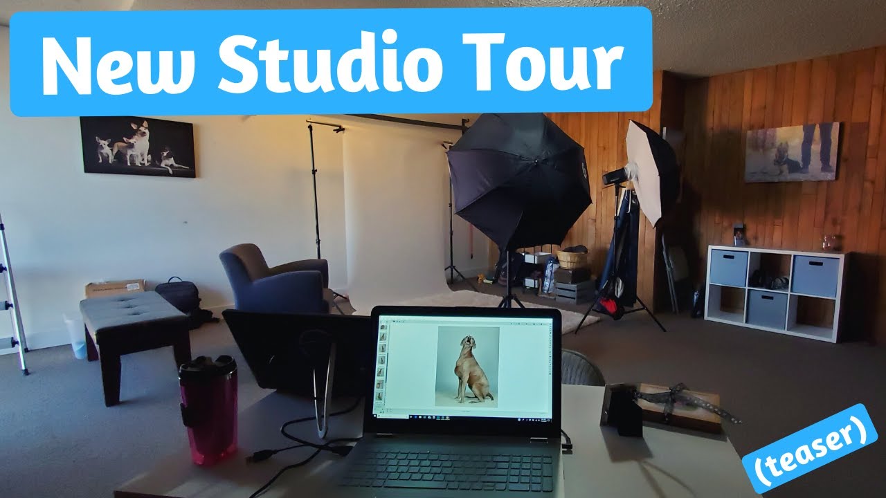 NEW Pet Photography Studio Space (Teaser) - YouTube