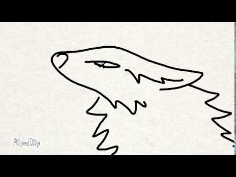 wolf animation test - YouTube