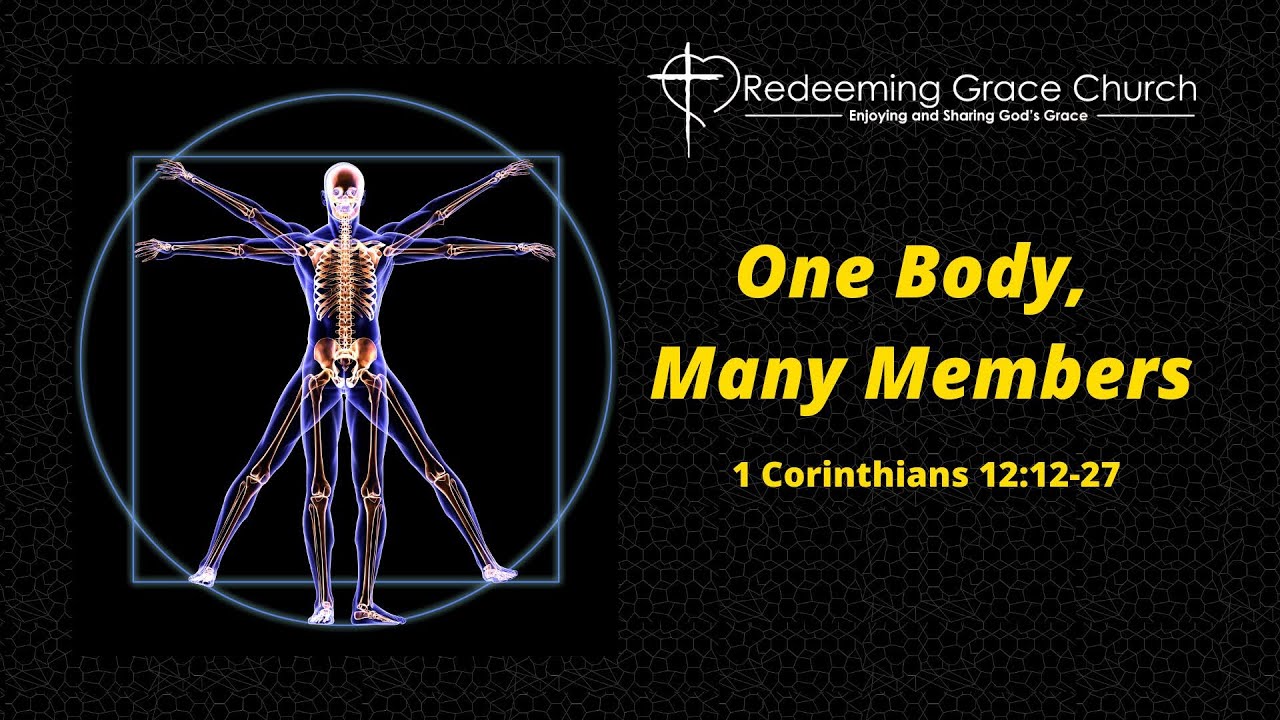 One Body, Many Members - 1 Corinthians 12:12-27 - YouTube