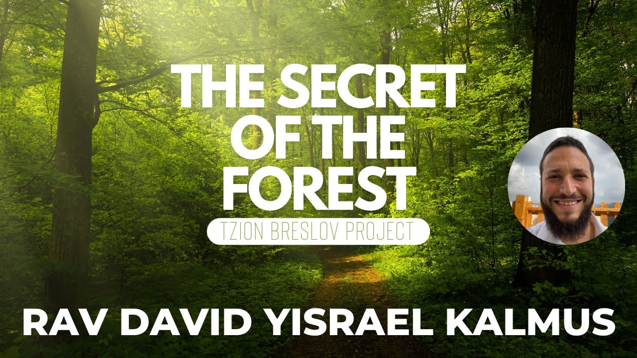 The Secret of the Forest I Rav David Yisrael Kalmus - YouTube