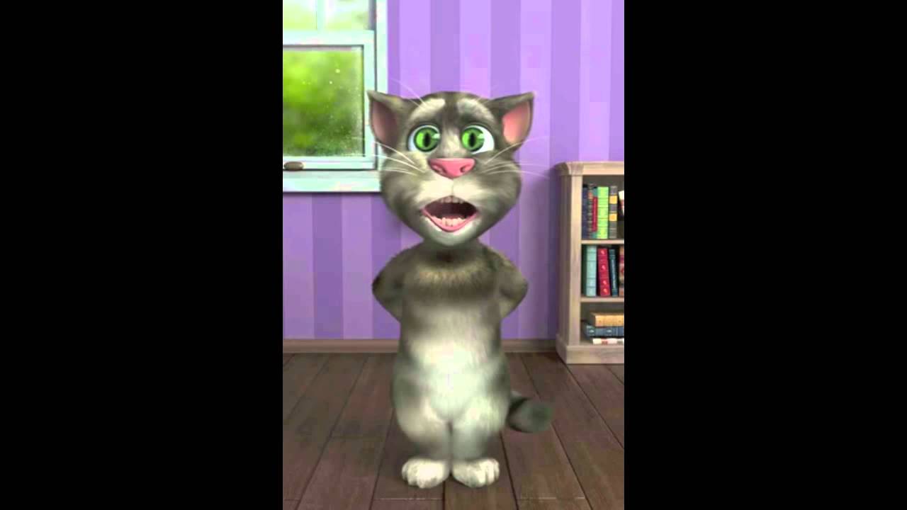 Talking Tom Cat Sings Stereo Heart ft. Adam Levine - YouTube