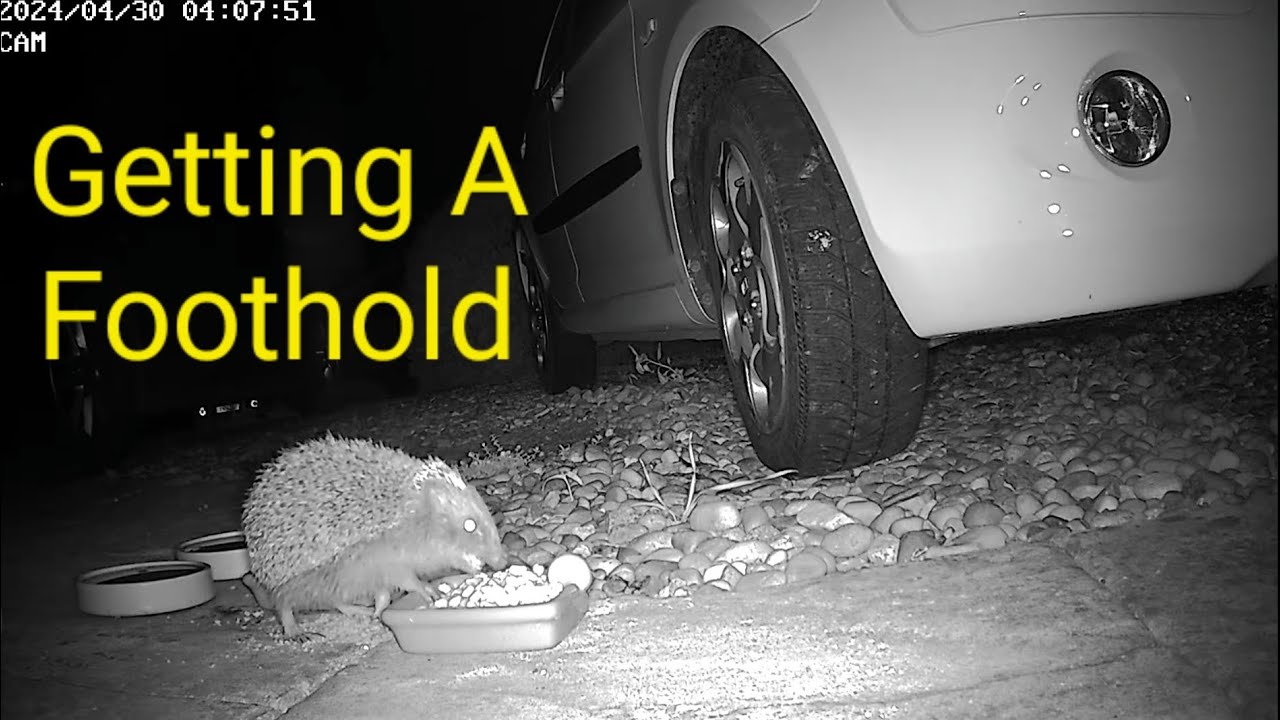 Getting A Foothold - YouTube