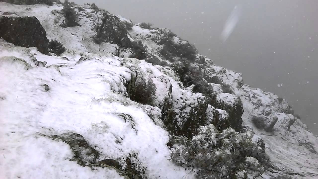 Snow Flakes, Mount Bryan 9 July 2014 - YouTube