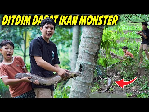 DITDIM MANCING DAPAT IKAN LELE MONSTER GEDE BANGET!!