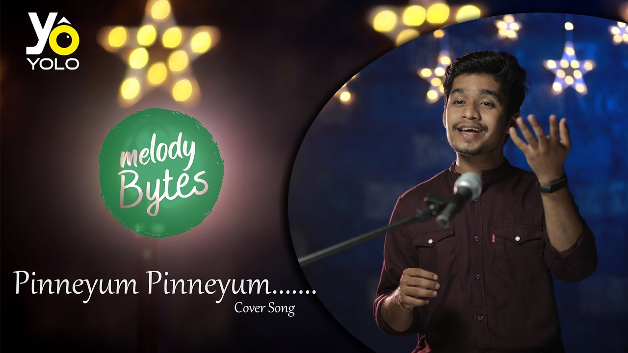 Pinneyum Pinneyum Cover | krishnagudiyil oru pranayakalath | melody ...