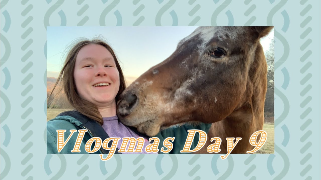 Cochise, family get together, and round 2 of the NFR // Vlogmas Day 9 ...