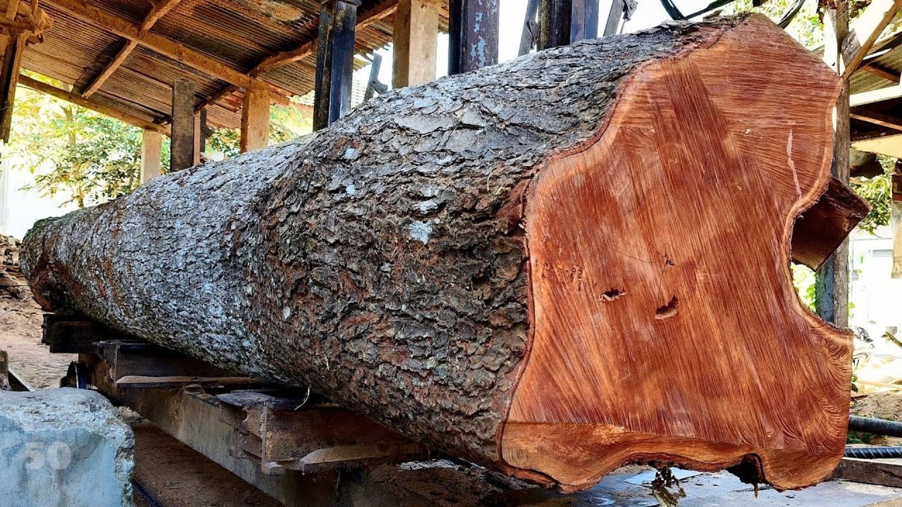 The extraordinary beauty of the red wood at the sawmill - YouTube