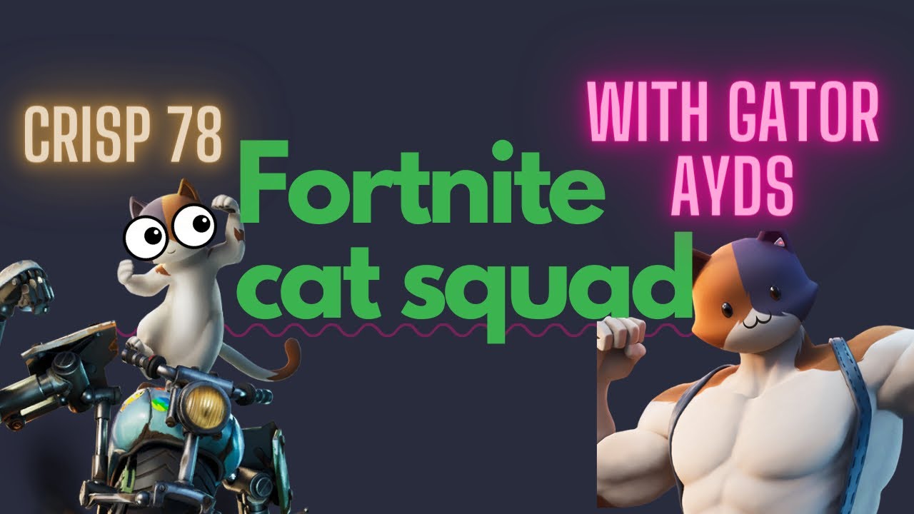 fortnite Cat squad - YouTube