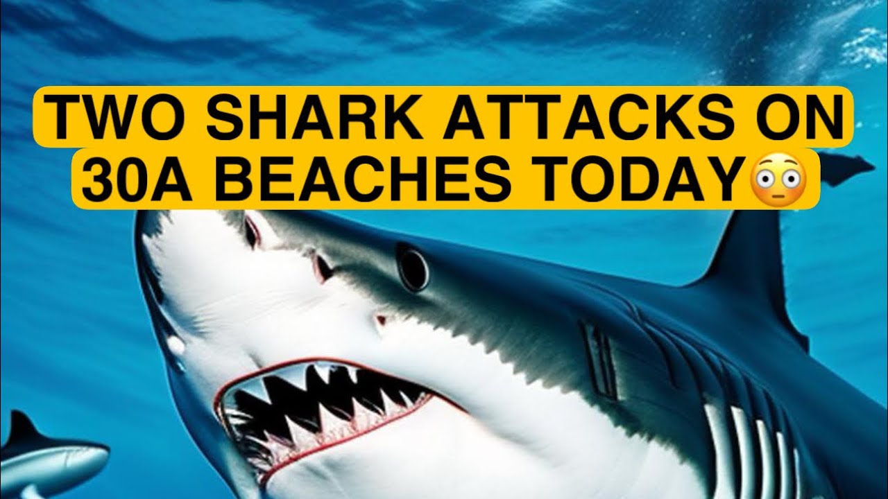 TWO SHARK ATTACKS ON 30A BEACHES IN FLORIDA 6/7/24 - YouTube