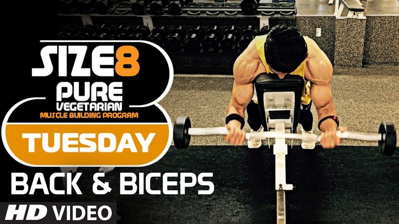 SIZE-8 | TUESDAY - Back & Biceps | Pure Vegetarian Muscle Building ...