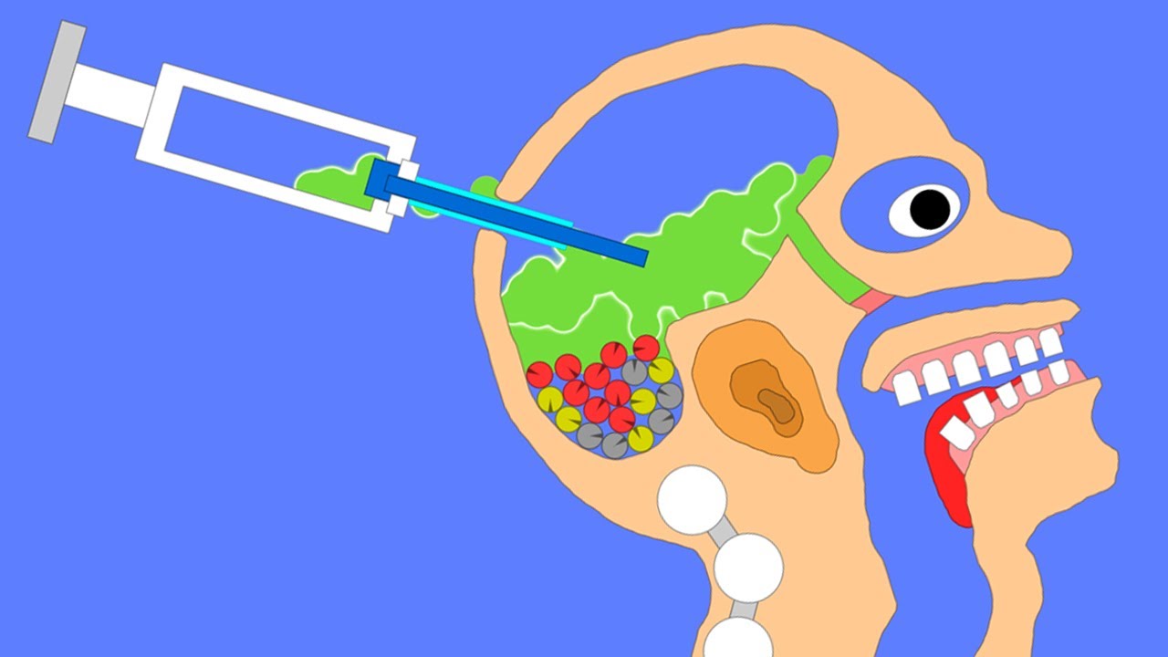 Algodoo | Human injection - YouTube