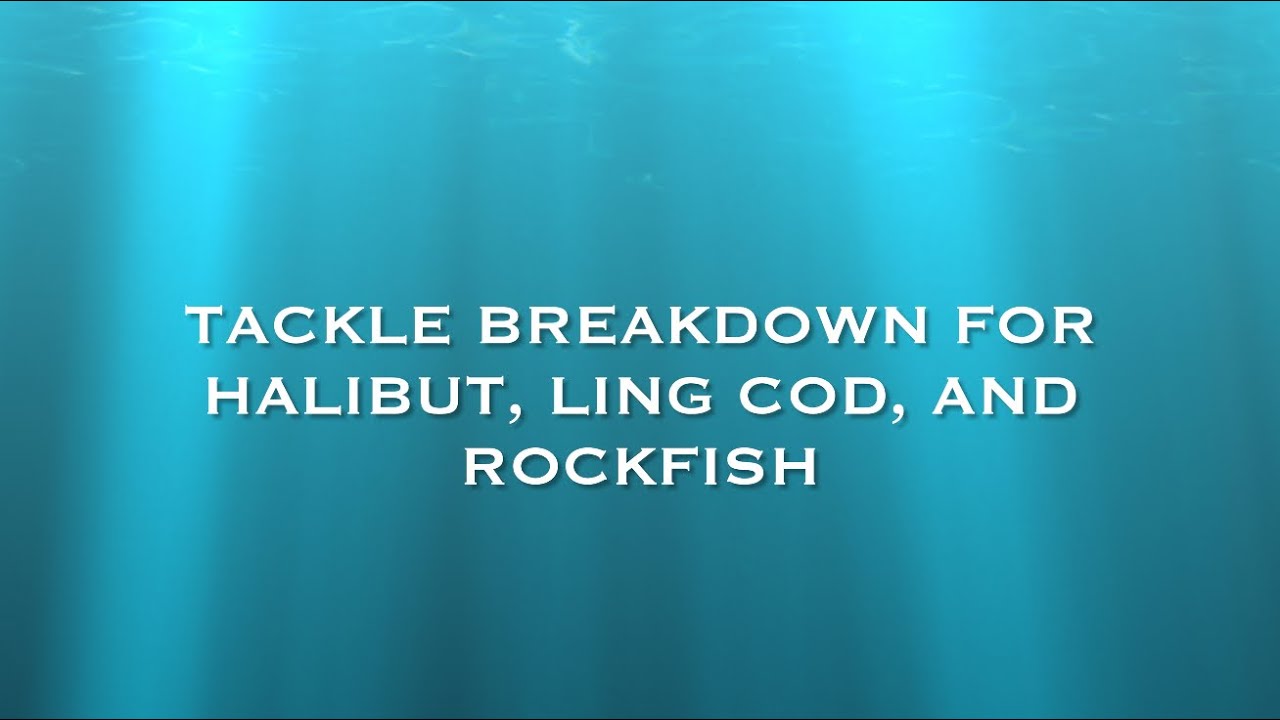 TABLE TALK Ep.5 (TACKLE BREAKDOWN FOR OFFSHORE FISHING IN ALASKA) - YouTube